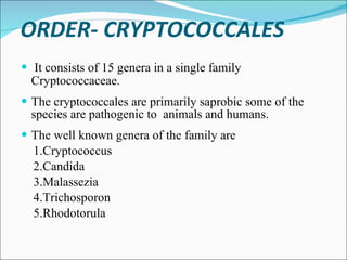Blastomycetes 1[1] | PPT