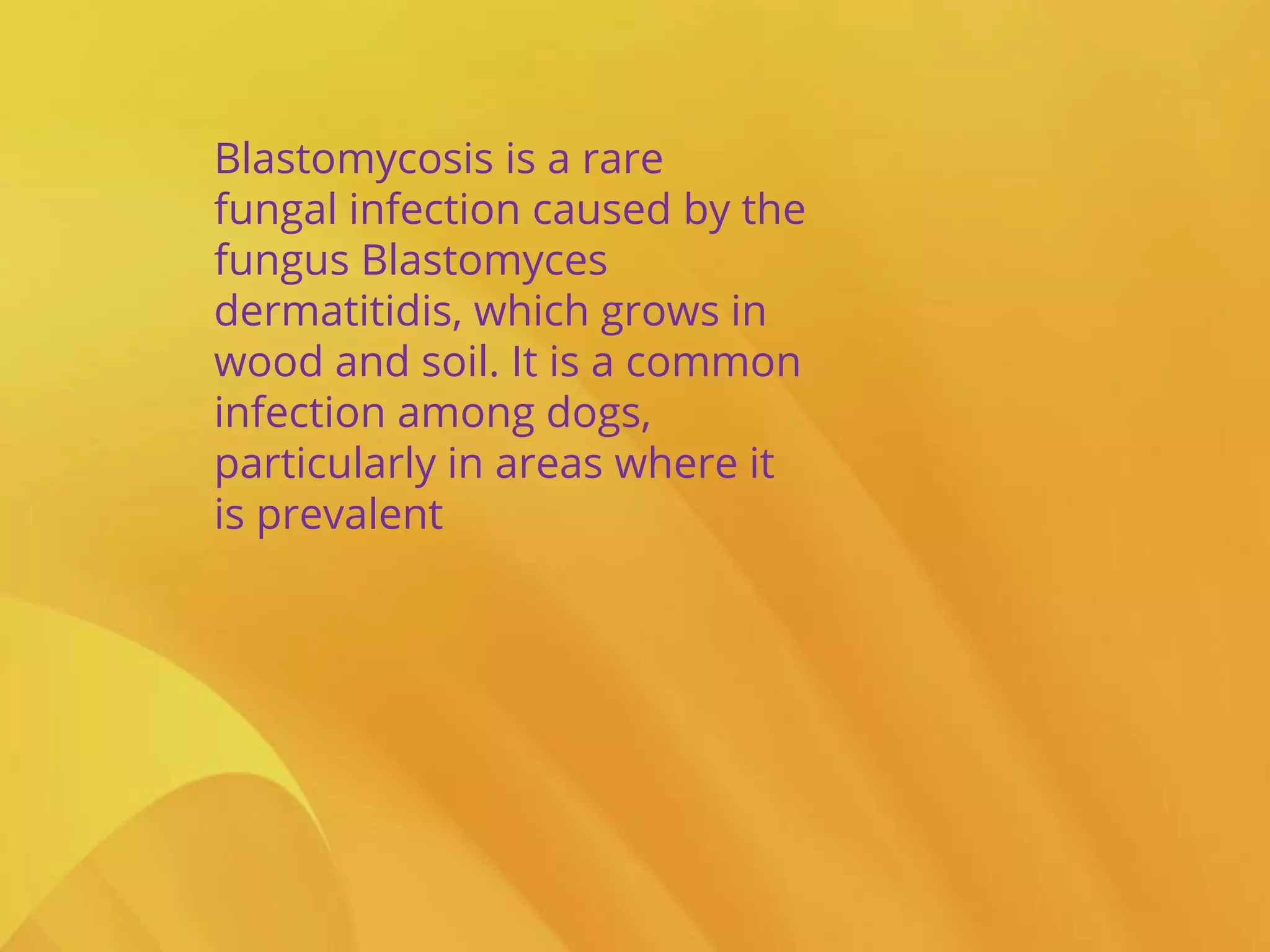 Blastomycosis.pdf