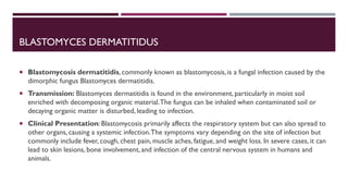BLASTOMYCOSIS.pdf