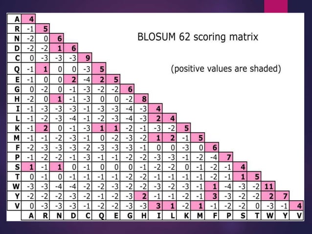 BLAST : features, types,algorithm, working etc. | PPTX