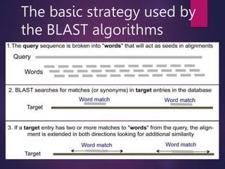 BLAST : features, types,algorithm, working etc. | PPTX