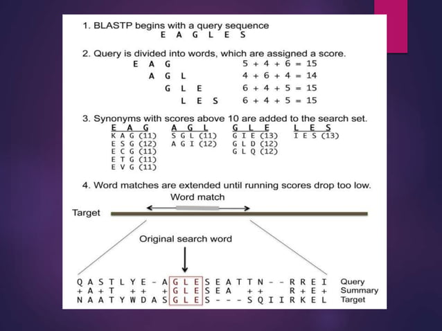 BLAST : features, types,algorithm, working etc. | PPTX