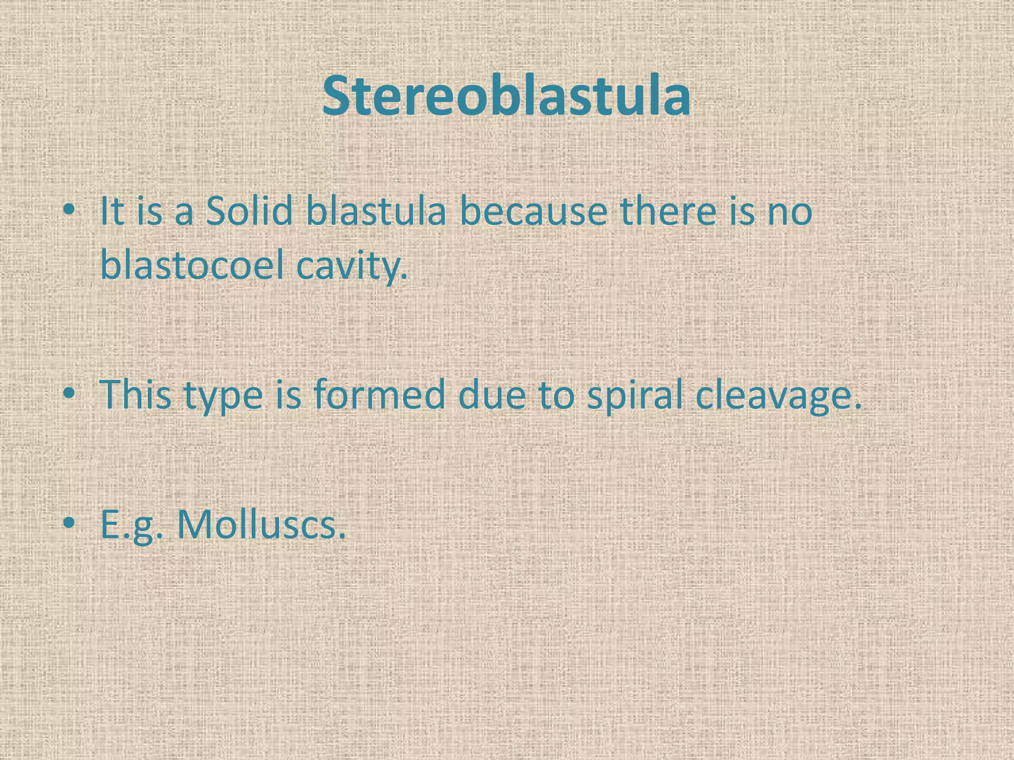 Blastulation | PPTX