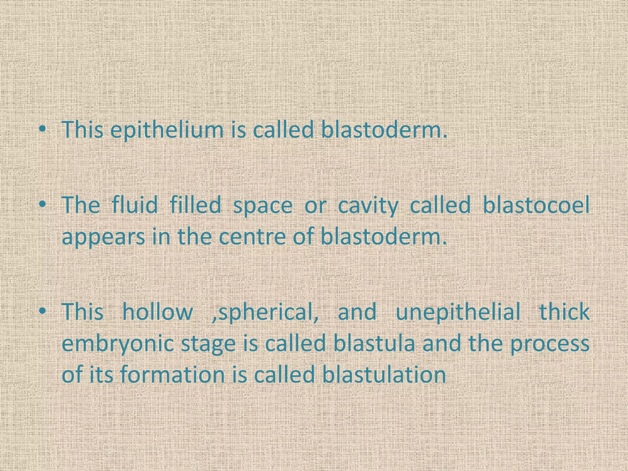 Blastulation | PPTX
