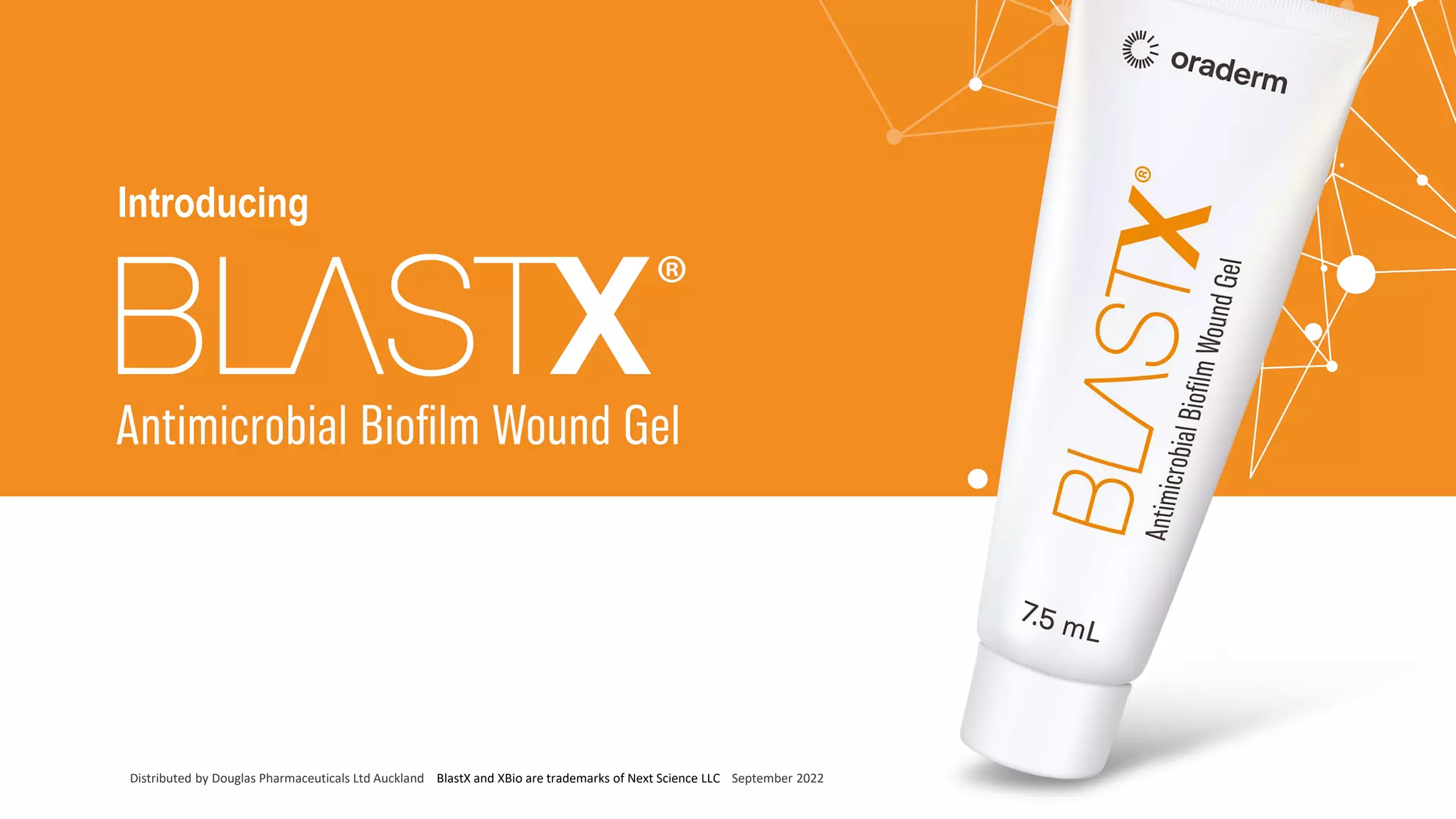 BlastX Training 2023.pdf