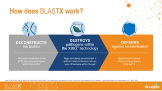 BlastX Training 2023.pdf