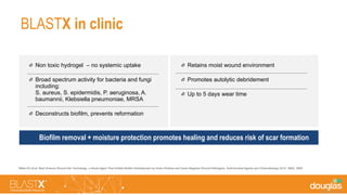 BlastX Training 2023.pdf