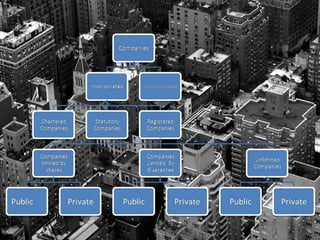 types of companies | PPT