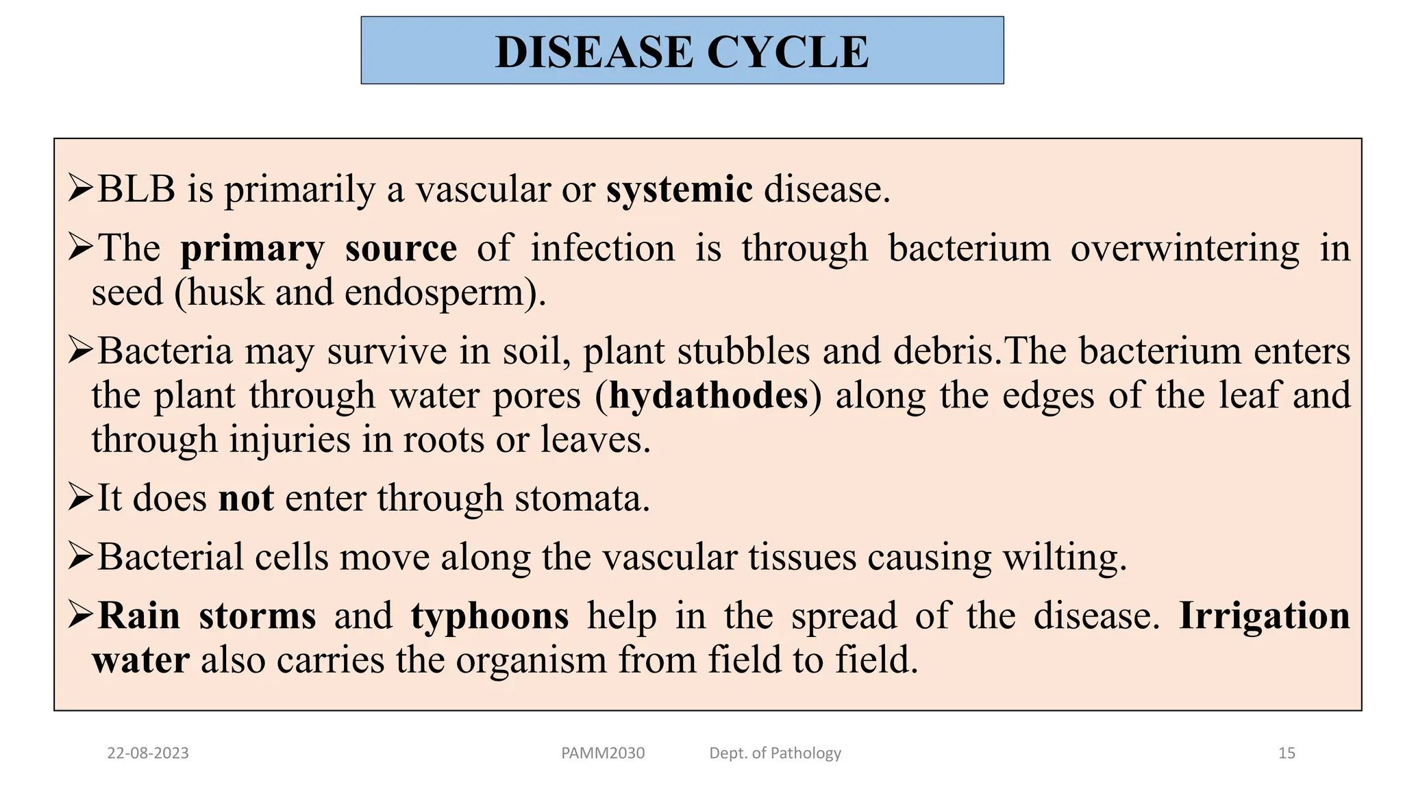 Bacterial Leaf Blightof Rice by SACHIN R KONDAGURI.pptx