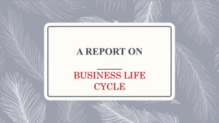 business life cycle.pptx