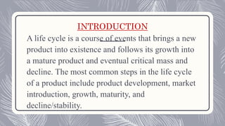 business life cycle.pptx