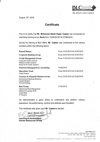 Blc internship certificate | PDF