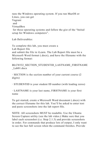 BLCN532 Lab 1Set up your development environmentV2.0.docx