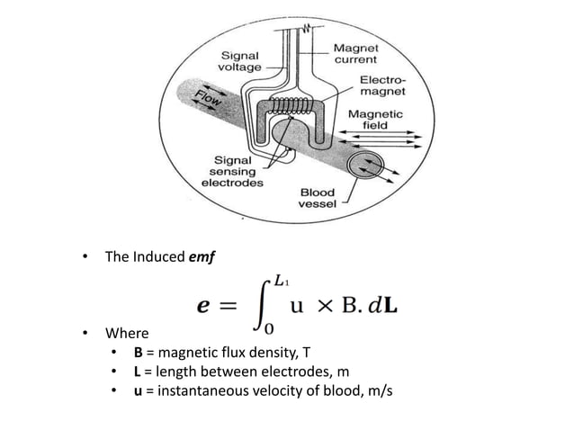 blood flow measurement | PPTX