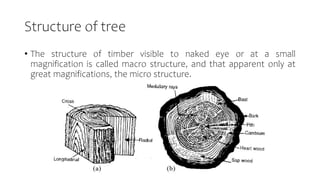 building materials and construction methods | PPTX | Woodworking | Arts ...