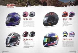 BLD Motorcycle Helmet | TOP 10 Brand in China | PDF
