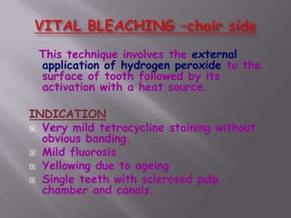 Bleach | PPTX