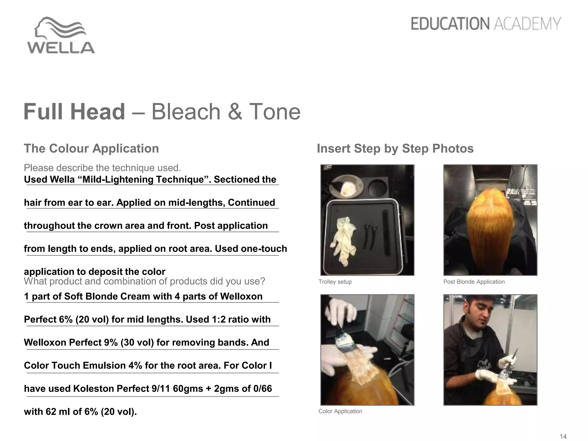 Bleach and tone | PPTX