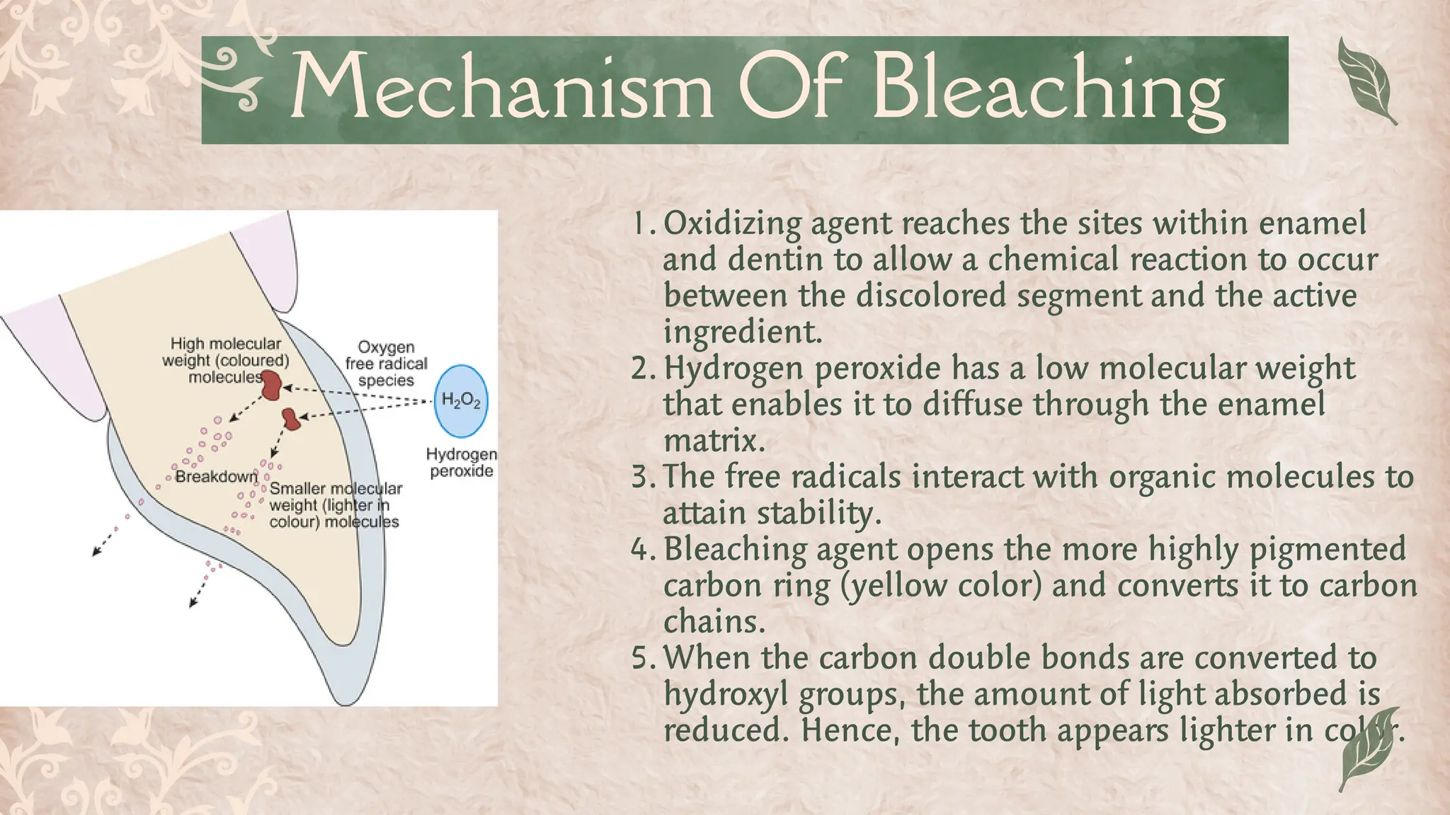 Bleaching agent slide presentation dental | PDF