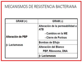 Antibiótico en bacterias con betalactamasa de espectro extendido (BLEE ...
