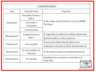 Antibiótico en bacterias con betalactamasa de espectro extendido (BLEE ...