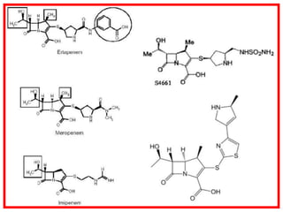Antibiótico en bacterias con betalactamasa de espectro extendido (BLEE ...