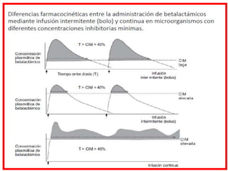 Antibiótico en bacterias con betalactamasa de espectro extendido (BLEE ...