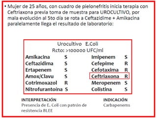 Antibiótico en bacterias con betalactamasa de espectro extendido (BLEE ...
