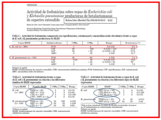 Antibiótico en bacterias con betalactamasa de espectro extendido (BLEE ...