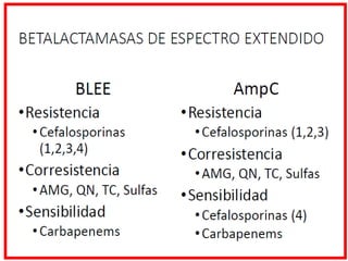 Antibiótico en bacterias con betalactamasa de espectro extendido (BLEE ...