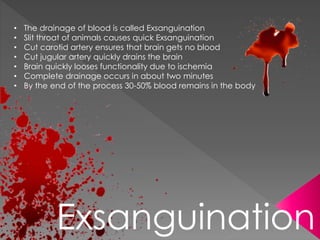 exanguination; affecting carcass quality | PPTX