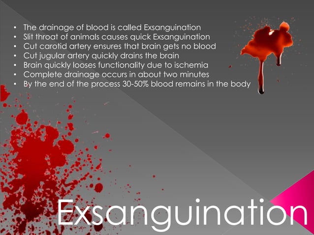 exanguination; affecting carcass quality | PPT