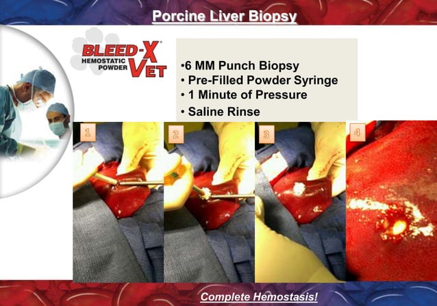 Bleed-X Vet Hemostatic Powder | PPTX