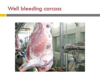 bleeding in slaughtered animals and its effect in meat quality.pptx