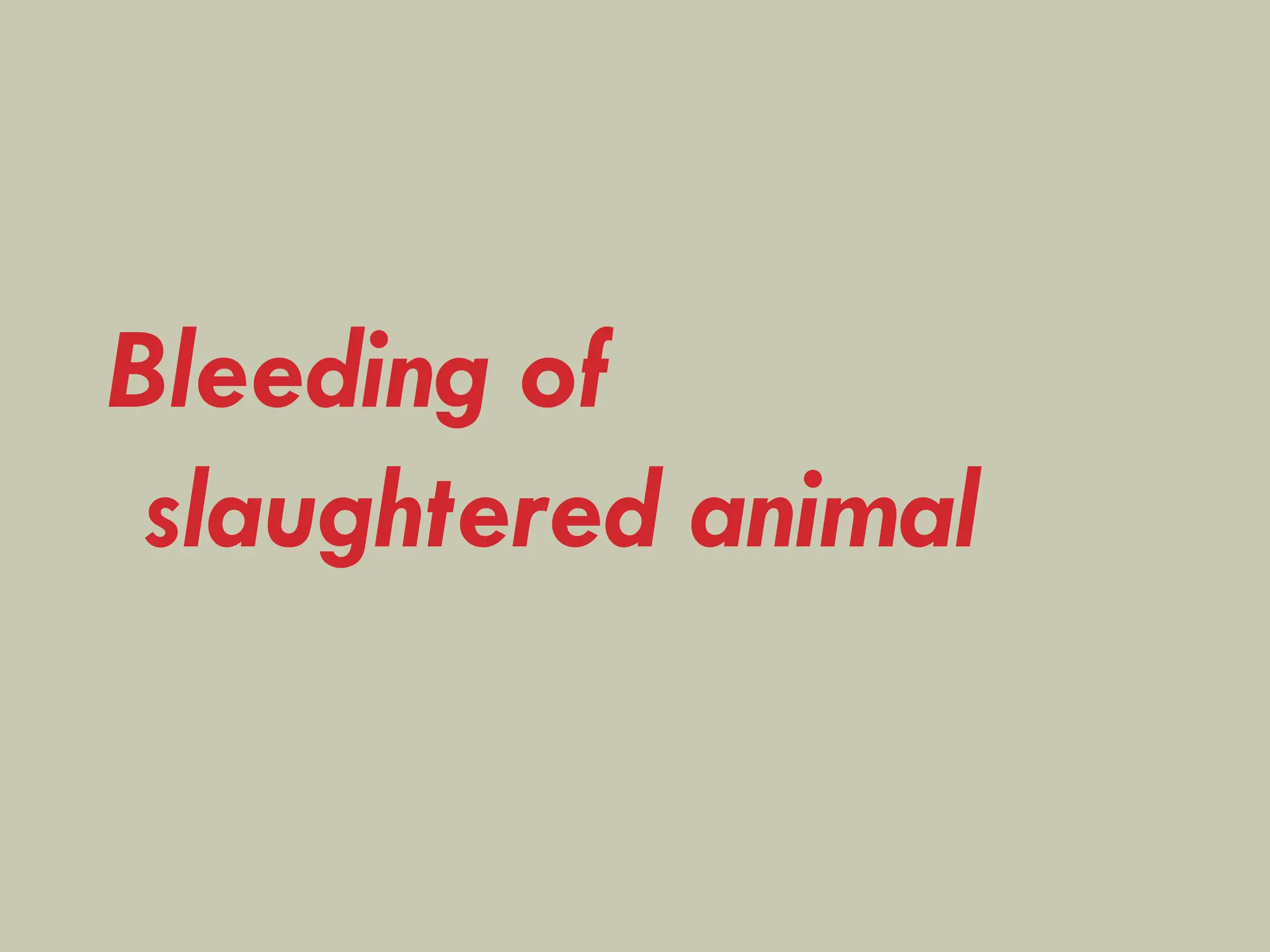 Bleeding in slaughtered animals and it's effect in meat quality | PPTX