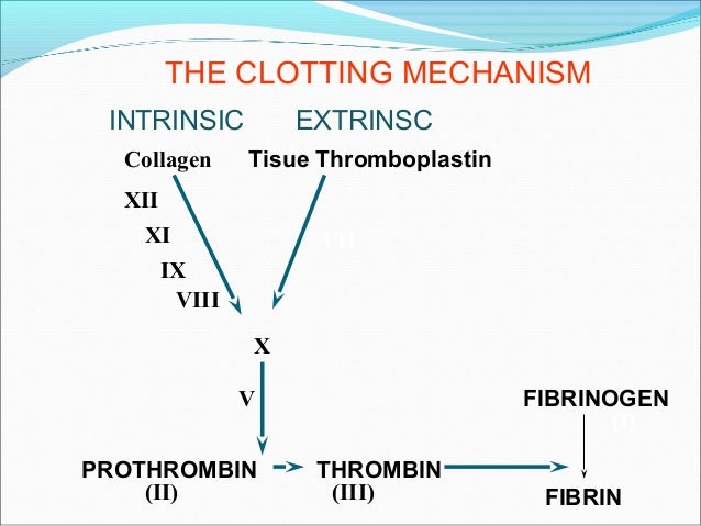 Bleeding Timeclotting Time Pt And Ptt