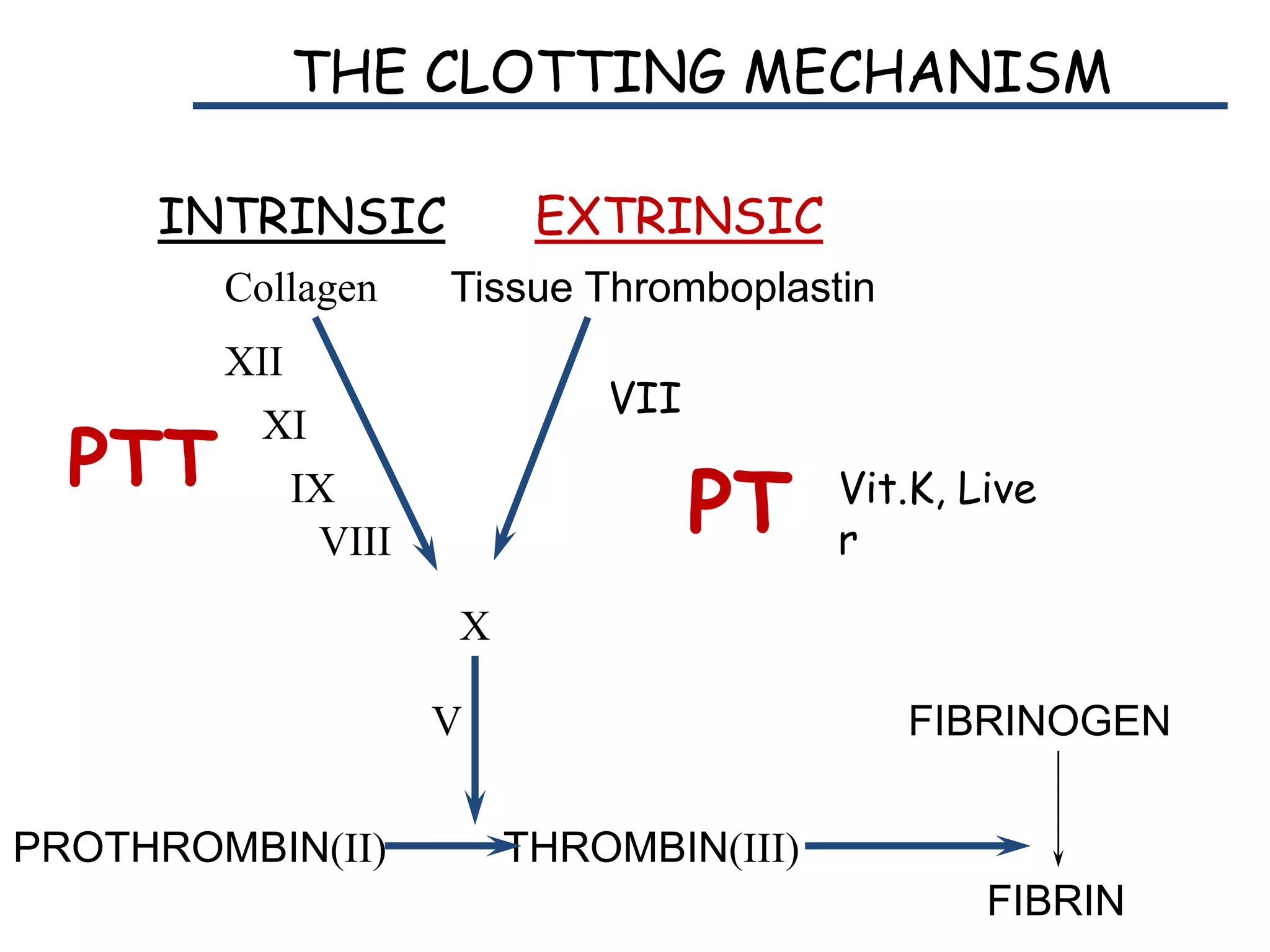 Bleeding and clotting disorders in children | PPTX