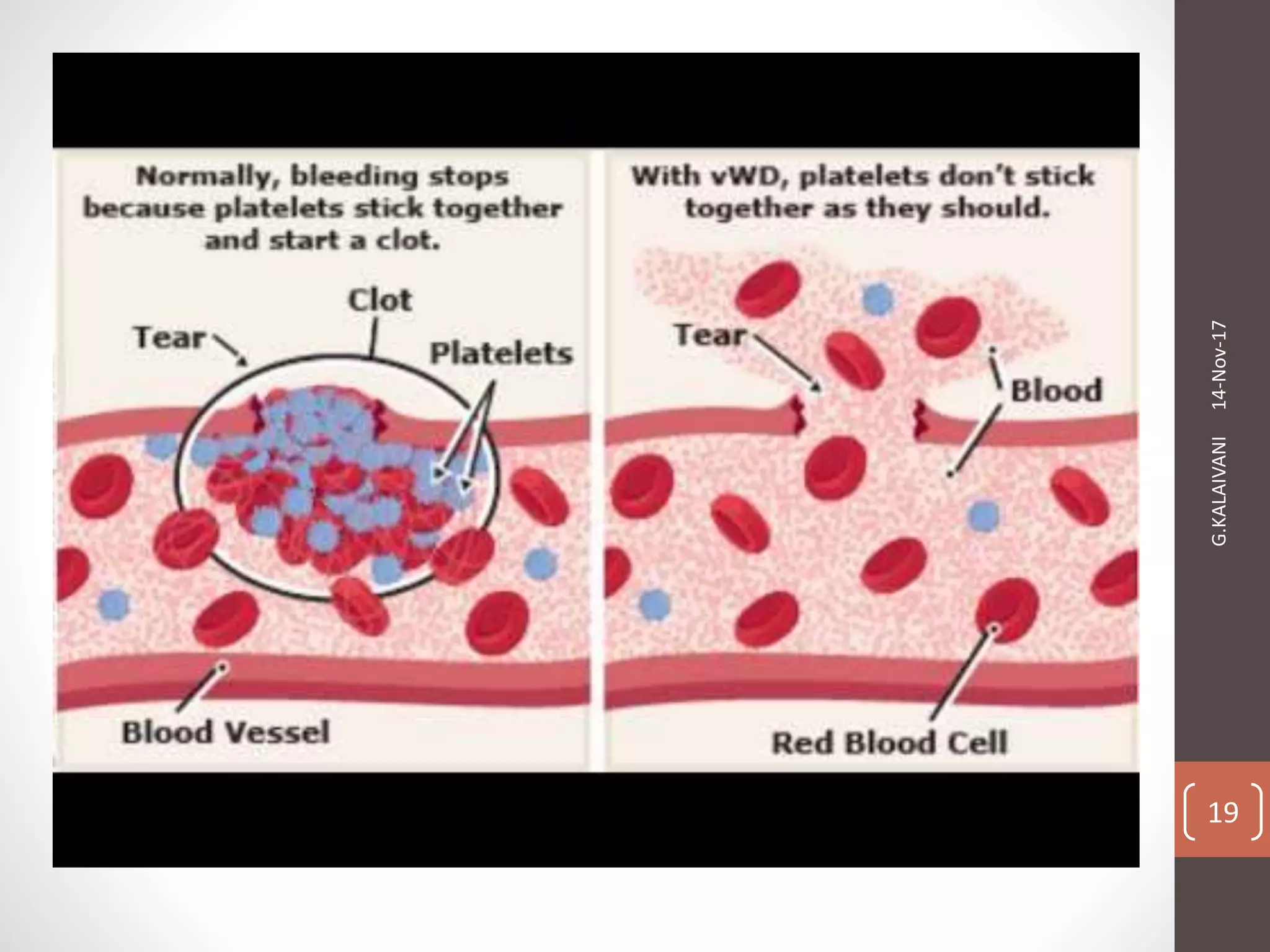 Bleeding and clotting time | PPTX