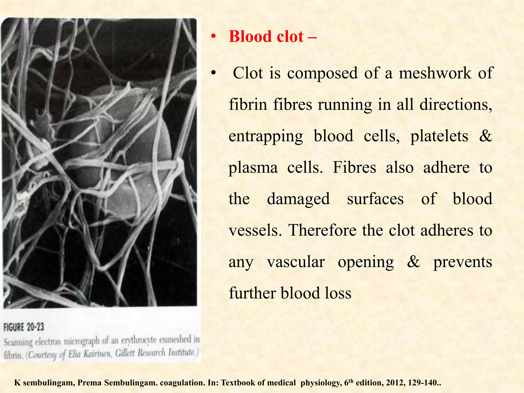 Bleeding and coagulation copied | PPT