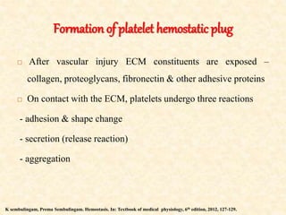 Bleeding and coagulation copied | PPT