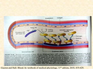 Bleeding and coagulation copied | PPT