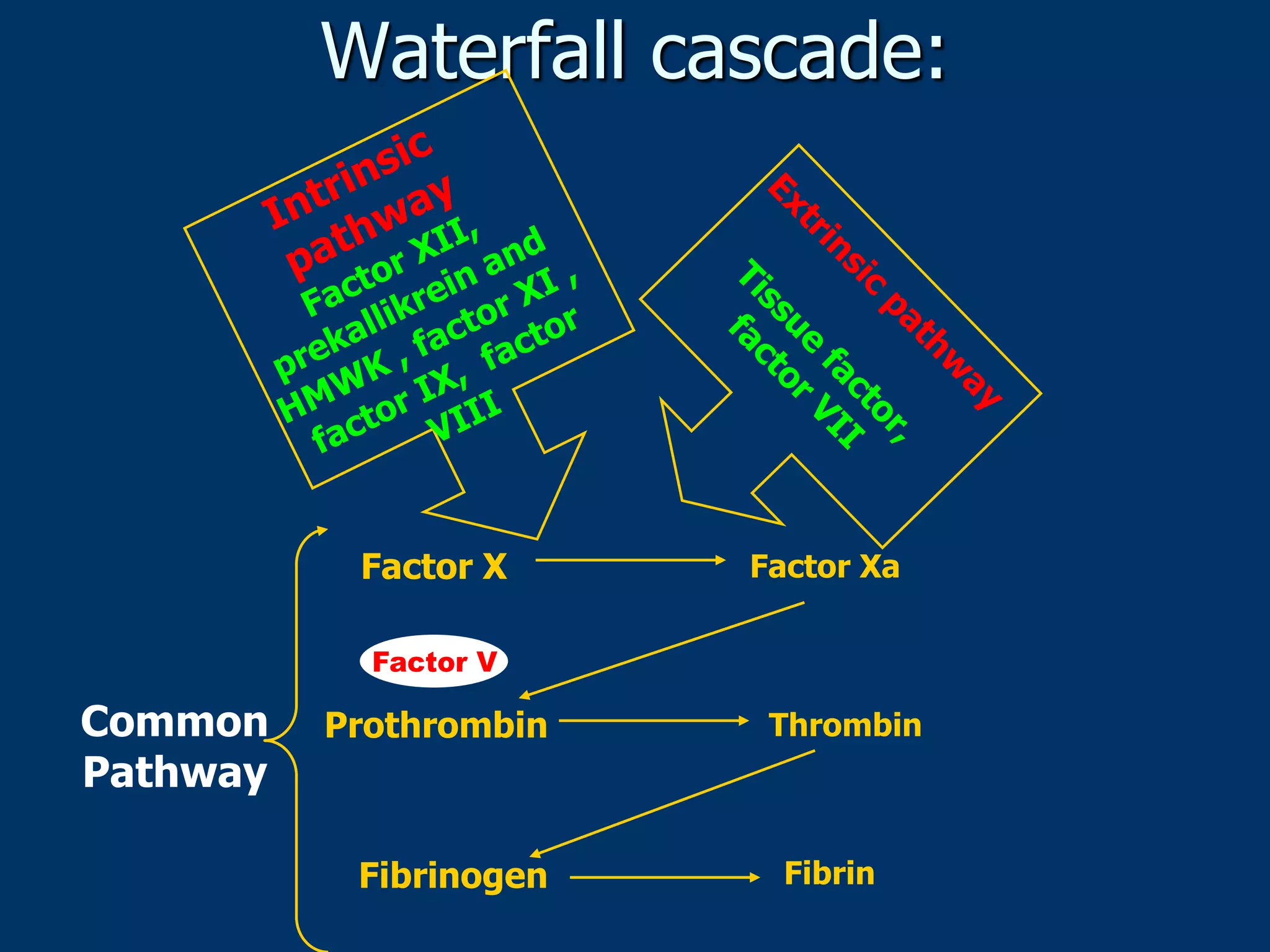 Bleeding_and_Coagulation_disorders_2015_2_lectures.pptx