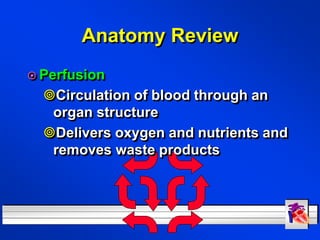 Bleeding control.ppt