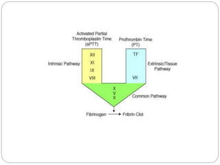 Hemorrhagic diathesis 2 | PPTX