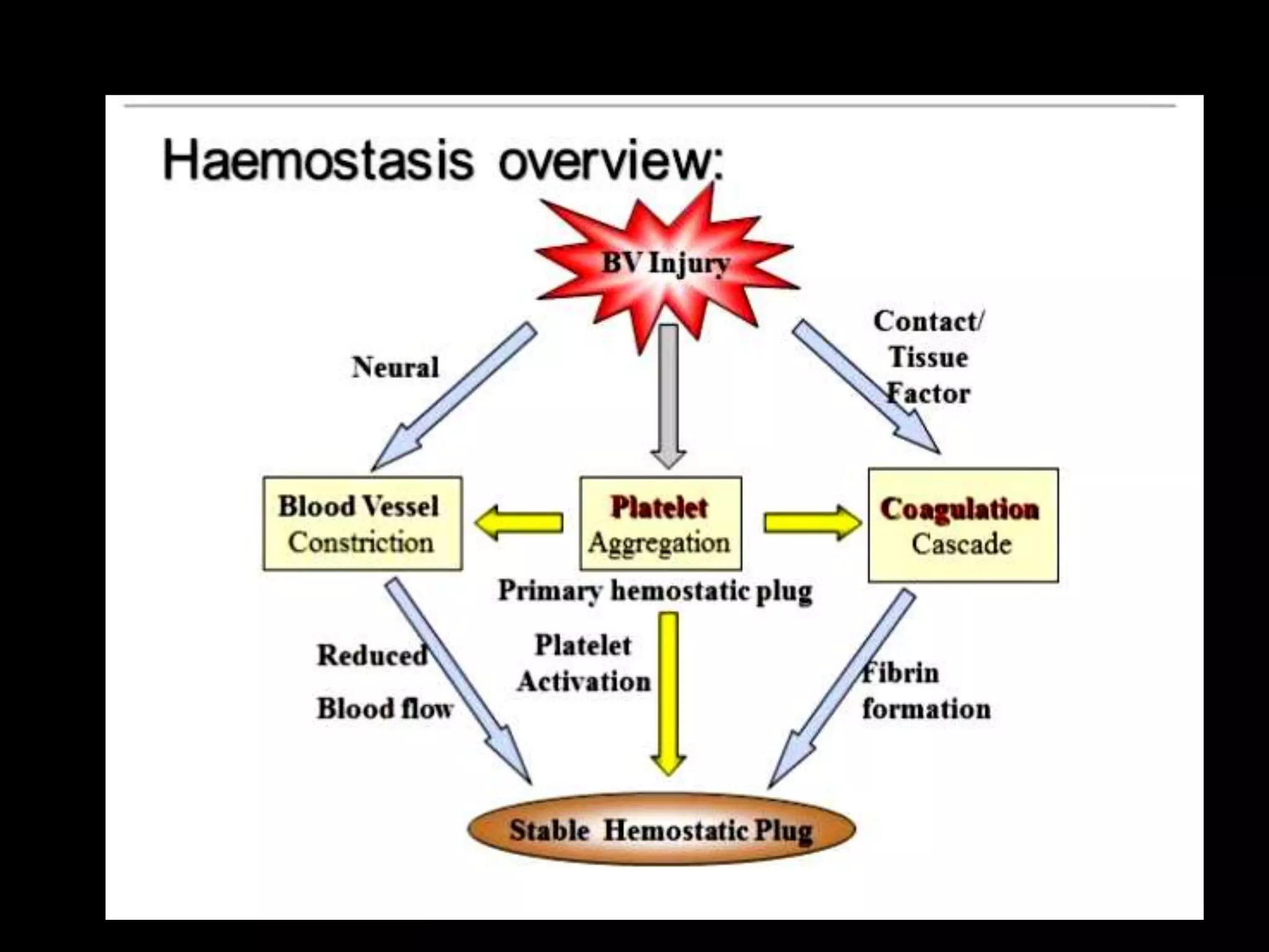 Approach to Bleeding disorder | PPTX