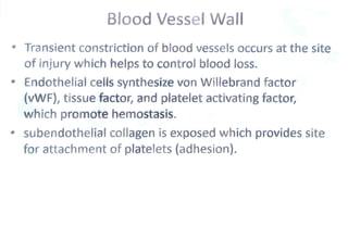 Bleeding disorder (pathology).pdf