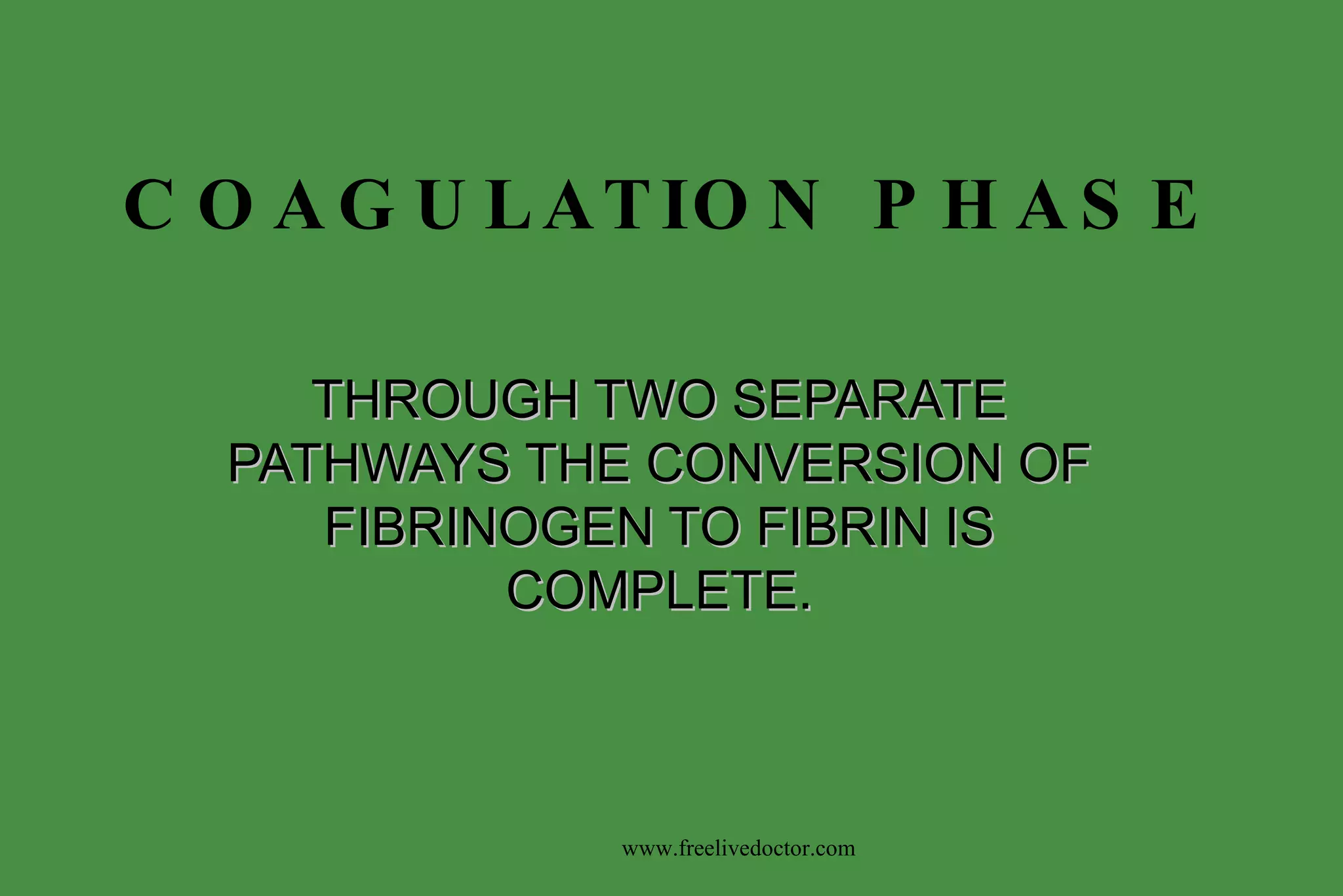 Bleeding disorders | PPT