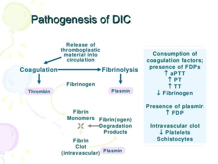 Medicine 5th year, 10th lecture (Dr. Sabir)