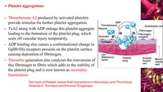 Bleeding disorders | PPTX