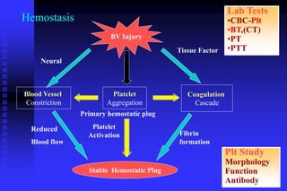 bleeding_disorders.ppt